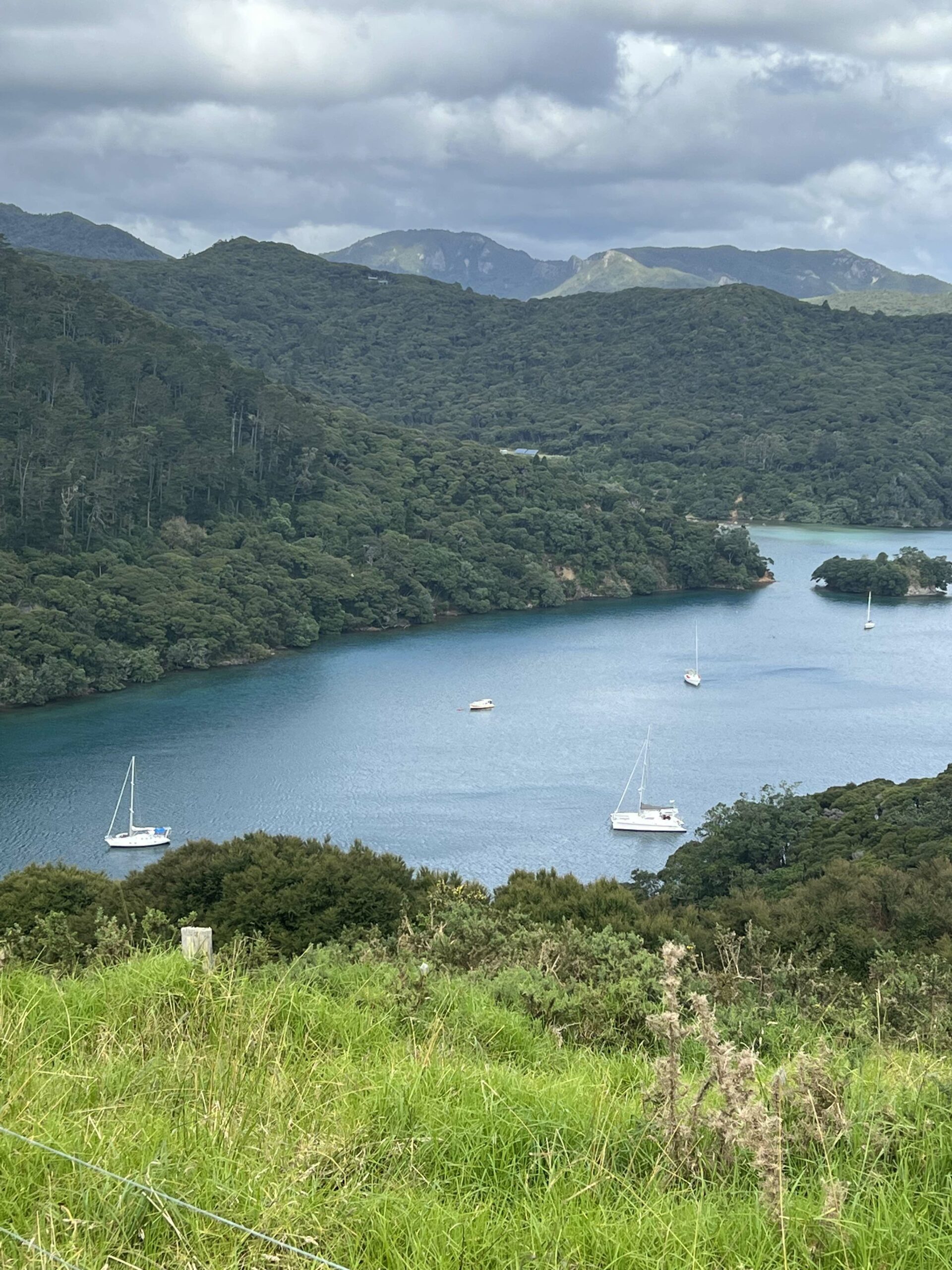 Summer Sailing in New Zealand - RCR Yachts
